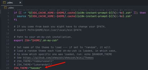 Zsh 安装与配置，使用 Oh My Zsh 美化终端 Leehow的小站