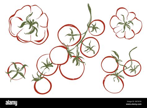 Fresh Tomato Organic Ketchup Stock Vector Images Alamy