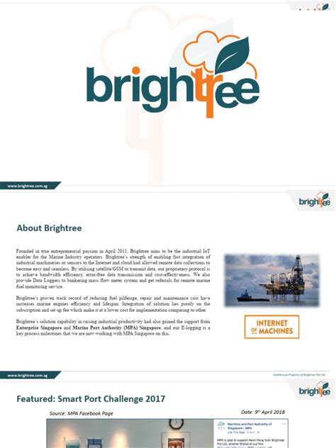 Marine Iot Solutions By Brightree Pdf Internet Of Things Computing