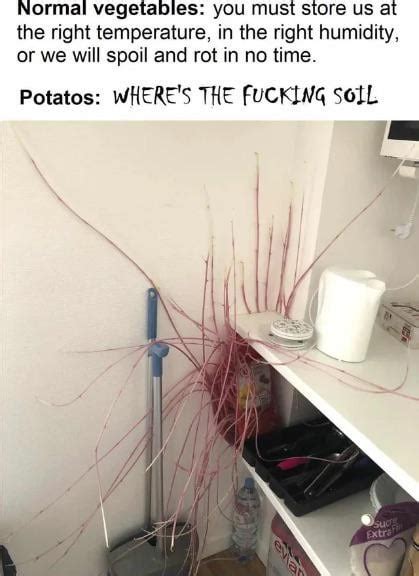 Wheres The Fucking Soil Rpotato