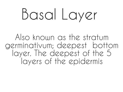Basal Layer Medical Esthetician Esthetician Inspiration Esthetician School