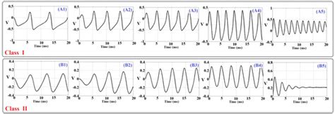 Mathematics Special Issue Mathematical Modeling Of Neurons And Brain Networks Fundamental