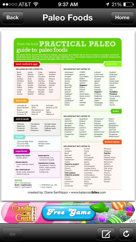 Paleo For Starters Paleo Guide Practical Paleo Paleo Recipes
