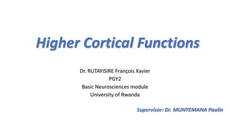 Higher Mental Functions Pptx