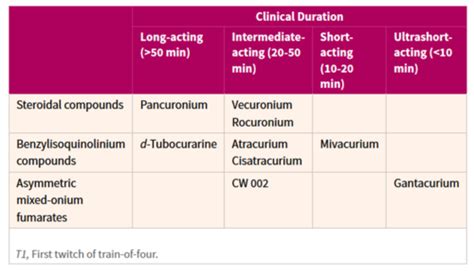 Non Depolarizing Neuromuscular Blockers Flashcards Quizlet