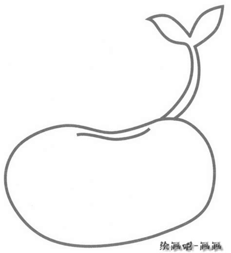 大豆发芽的生长过程简笔画 简笔画图片大全 蒲城教育文学网