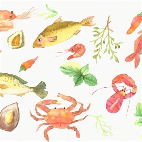 【知识】吃完海鲜肚子疼？小心副溶血性弧菌感染！ 污染 食用 水产品