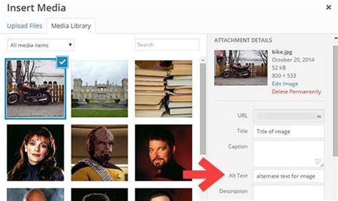 What Is An Alt Text For Website Images Diib Learn