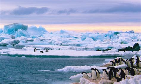 Երկիր մոլորակին նոր սառցե դարաշրջան է սպառնում․ գիտնականներն ահազանգում են Ֆակտոր տեղեկատվական