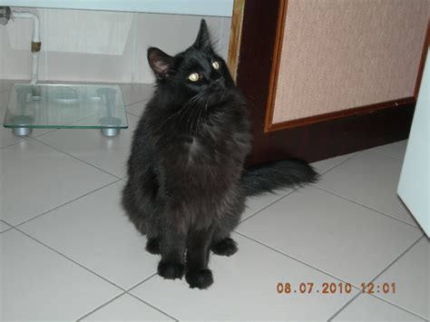 Dscn5315 Servimg Com Free Image Hosting Service