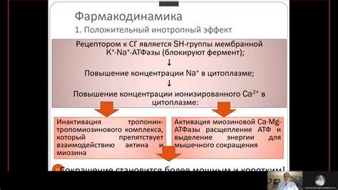 Фармакодинамика