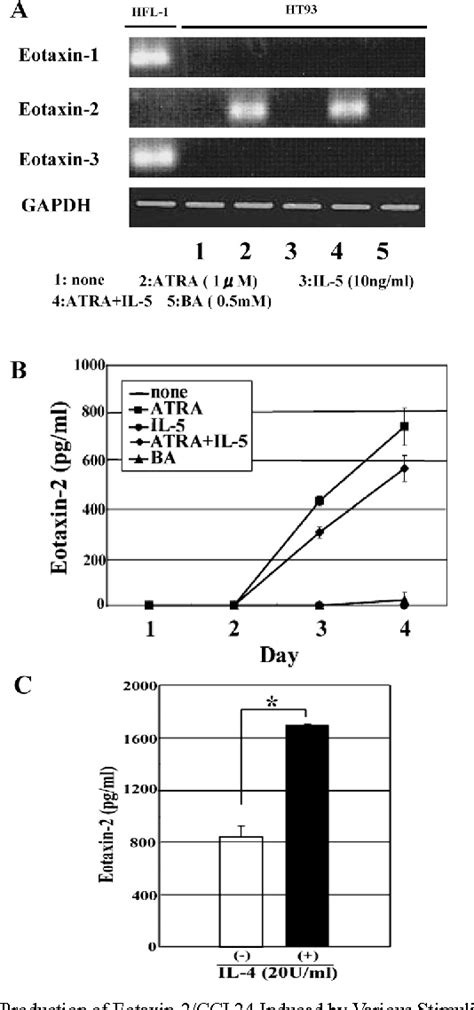 Table 1 From Production And Regulation Of Eotaxin 2ccl24 In A