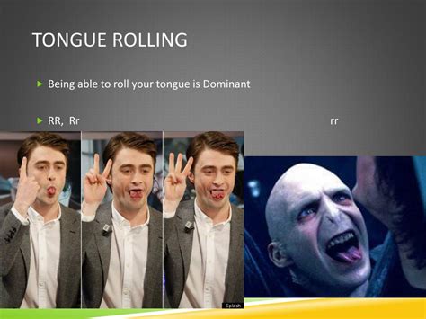 Ppt Inherited Traits Powerpoint Presentation Free Download Id 5383755