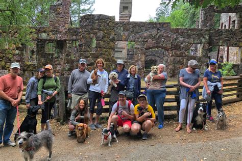 Tails And Trails Sonoma County Tourism