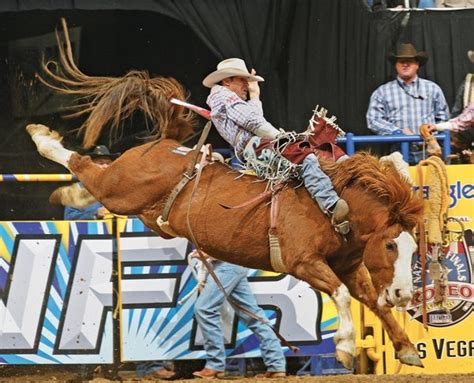 Pin By Eddie Carmichael On Bronc Riding Bronc Riding Bareback Bronc