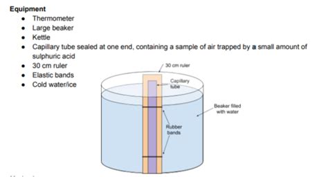 Practicals Module 5 Flashcards Quizlet
