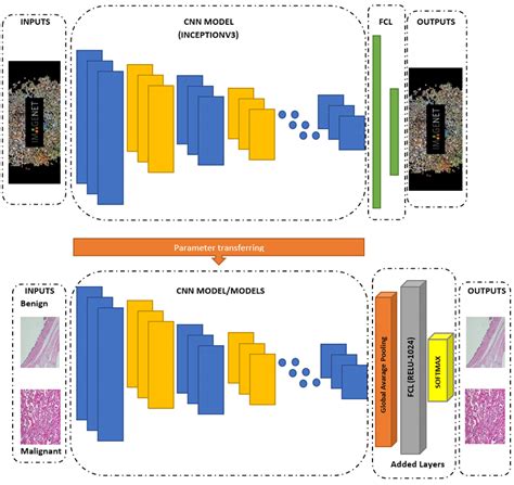 Demonstration Of Pre Trained Inceptionv3 Model Download Scientific Diagram
