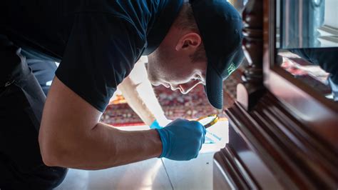 Choosing A Pest Control Provider Forbearances Expert Guide
