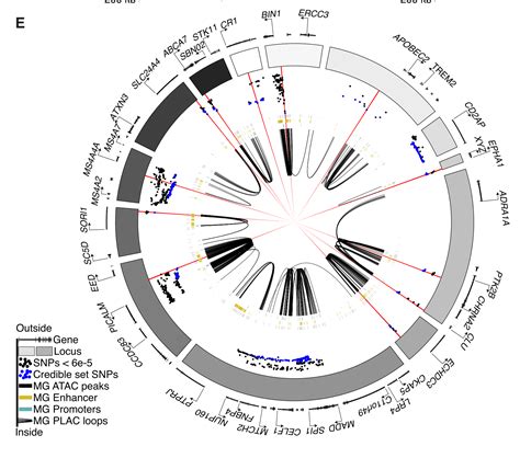Annotate Gene · Issue 10 · Lvulliardbiocircosr · Github