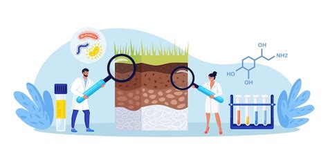 Premium Vector Soil Analysis Earth Pollution Scientists Study Of Composition Of Substances In