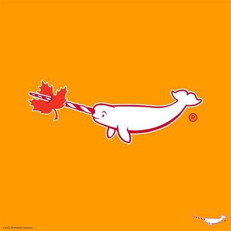 Peppermint Narwhal Creative Know Your Cymatocaeps The Cymatoceps Genus Is Monotypic And