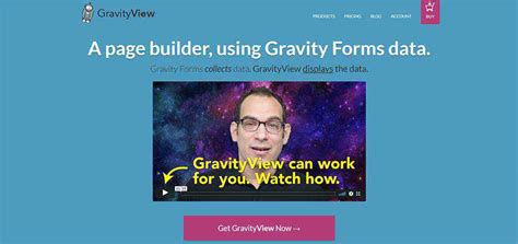 The Top Add Ons For The Gravity Forms Wordpress Plugin Yes Web Designs