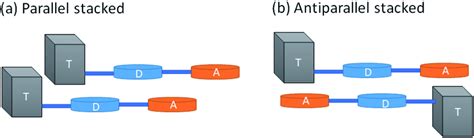 Schematic Diagram Of The A Parallel And B Antiparallel Tn D A Dimer Download Scientific