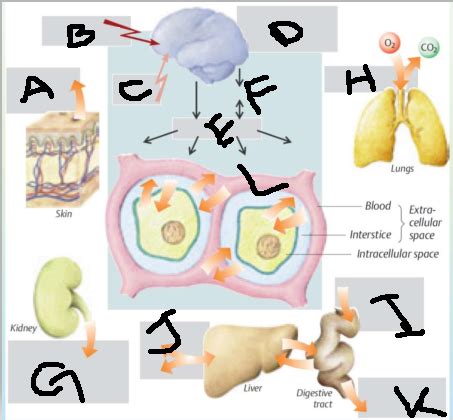 General Concepts Part I Flashcards Quizlet
