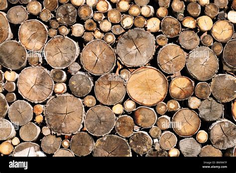 Wooden Logs Texture