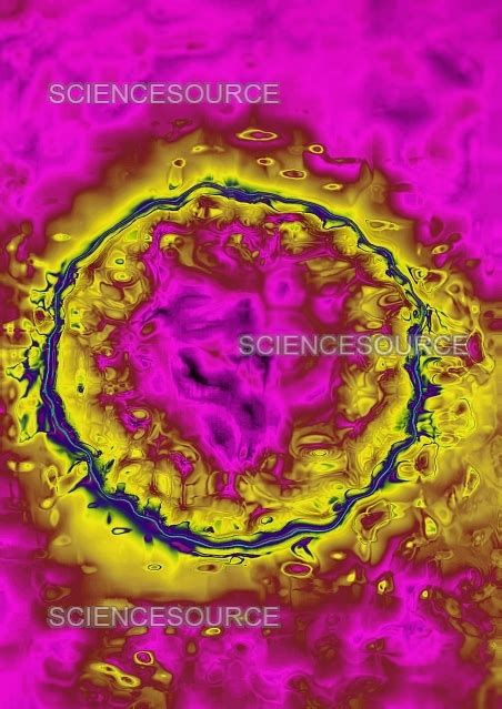 Hepatitis E Virus Hev Stock Image Science Source Images