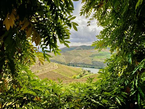 Map Of Douro Valley Wineries Hotels And Restaurants Explore Douro