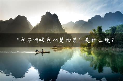 “我不叫喂我叫楚雨荨”是什么梗？ 布丁导航网
