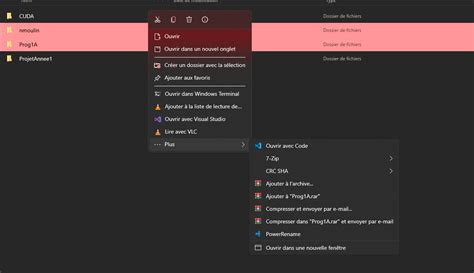 Tortoisesvn Dont Popup In The Context Menu And No Icons Status · Issue 6754 · Files Community