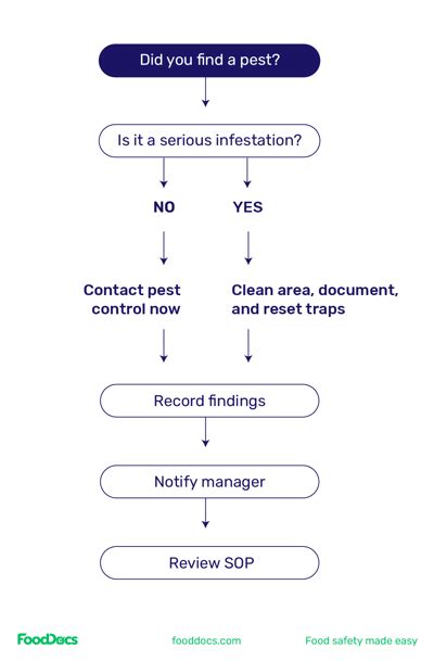 What Is A Pest Control Sop For Restaurants And How To Create One