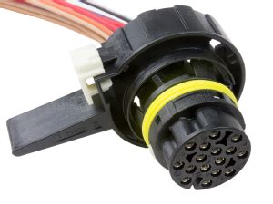 Cruise Control Module Plugs