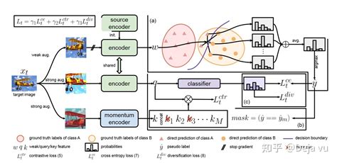 Contrastive Test Time Adaptation阅读 知乎