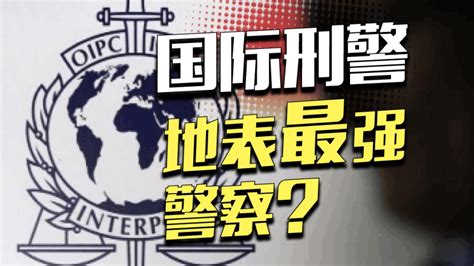 能发红色通缉令的国际刑警，是不是地表最强警察？ 赛雷三分钟 赛雷三分钟 哔哩哔哩视频