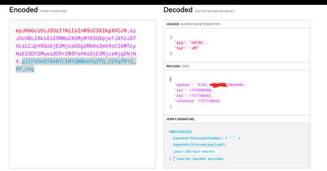 Onzoomsdkinitializeresult Errorcode 5 Internalerrorcode 124