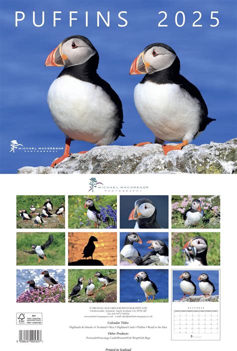 Puffins Michael Macgregor
