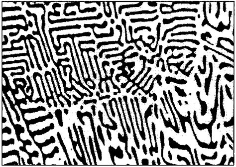 Scanned Image Of A Cast Microstructure The Lamellar Eutectic Contains