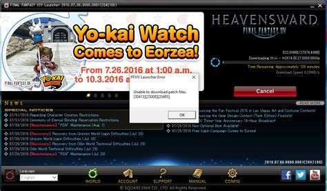 Ffxiv Launcher Error 30413 25008 20495 Just Downloaded Cant Play Rffxiv
