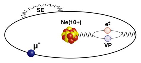 Quantum Electrodynamics Verified With Exotic Atoms Asia Research News