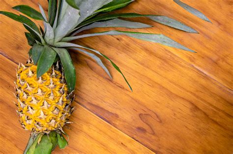 목재 배경에 녹색 잎이있는 잘 익은 파인애플 열대 과일 상단보기 사진입니다 텍스트 장소가있는 전체 파인애플 템플릿 꼭대기에 대한 스톡 사진 및 기타 이미지 Istock
