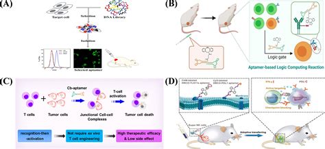 Aptamer‐based Cancer Cell Analysis And Treatment Wu 2022 Chemistryopen Wiley Online Library