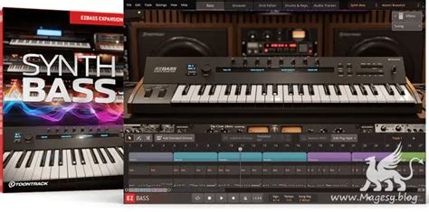 Download Synth Bass EBX EZBASS SOUNDBANK MaGeSY