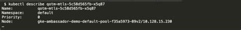 verifying service mesh tls in kubernetes using ksniff and wireshark