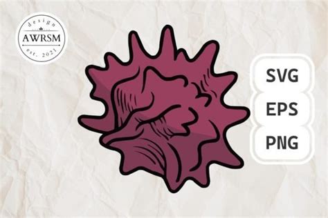 Clamshell Svg Vector Seashell Clipart Graphic By Awrsmdesign · Creative Fabrica