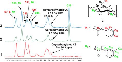 Solid State ¹³c Nmr Spectra Of The Selectors Precursor 3 Blue Vs Download Scientific