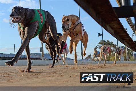 fasttrack digital records replace weight cards