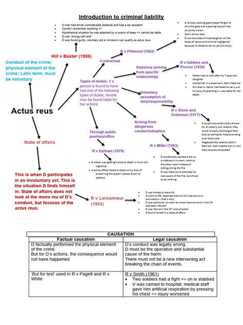 Introduction To Criminal Liability Pdf Mens Rea Causation Law